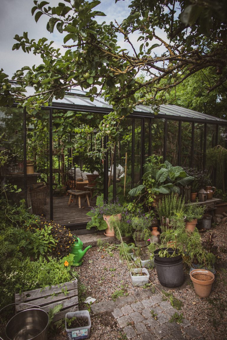 Min trädgård – ett mayhem – Krickelins